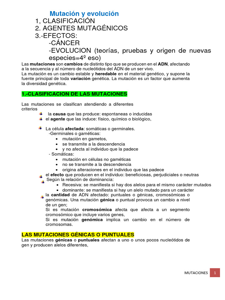 Tipos y Efectos de las Mutaciones | PDF | Mutación | Cáncer