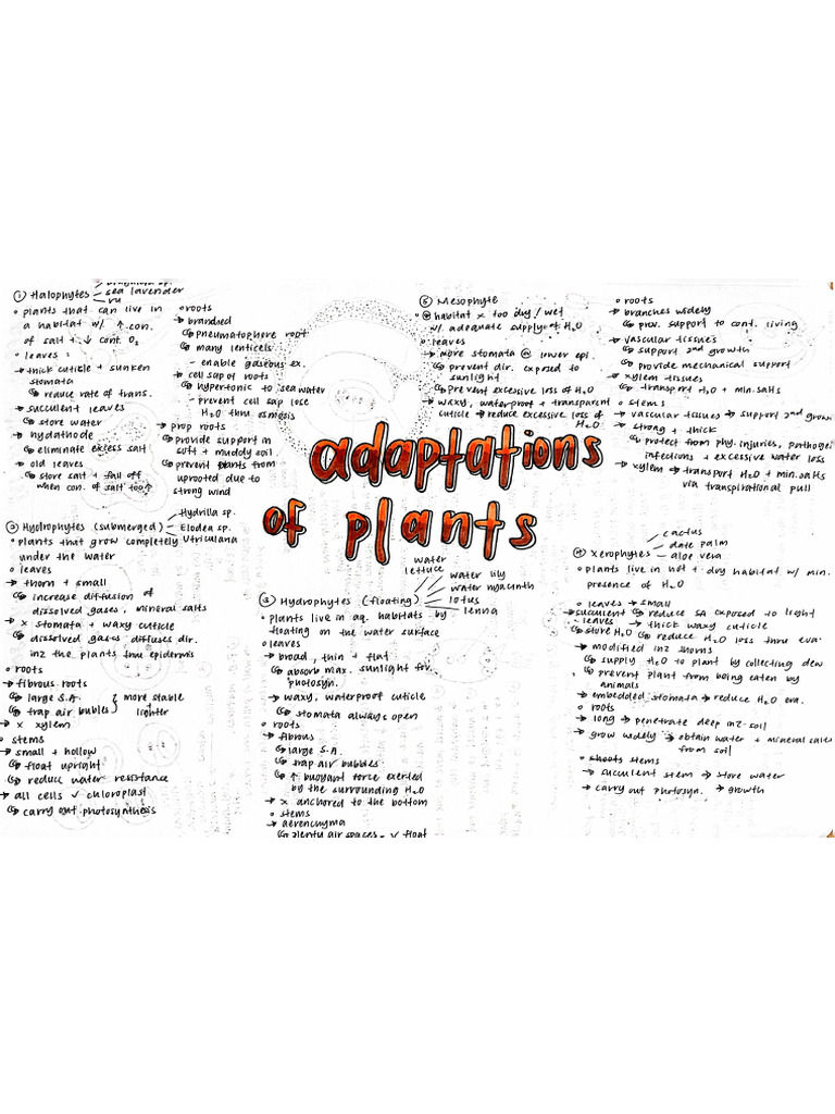Adaptations of Plants in Different Habit | PDF
