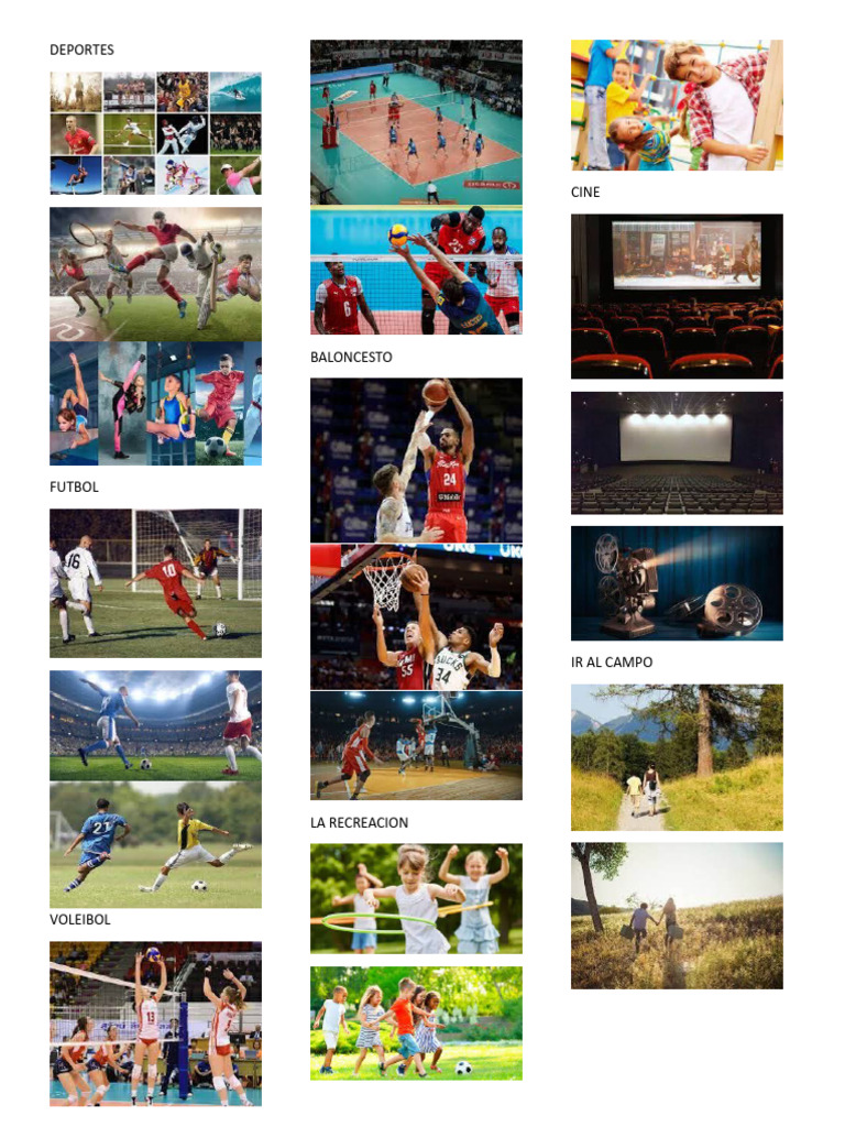 Actividades Recreativas y Deportes | PDF