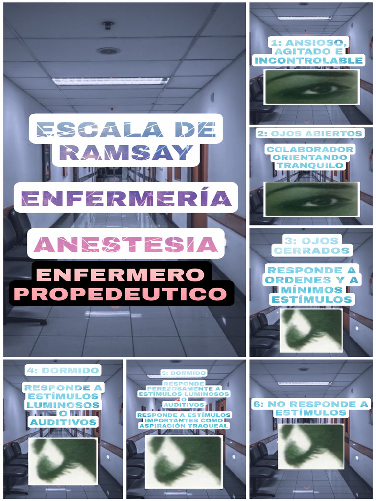 Escala de Ramsay Ed | PDF