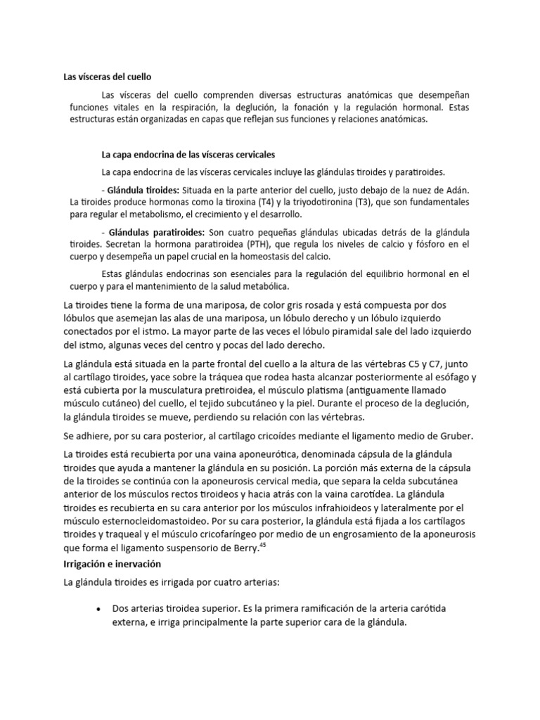 Las Vísceras Del Cuello | PDF | Tiroides | Glándula paratiroidea