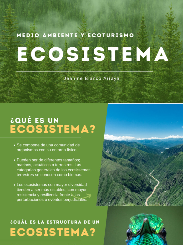 Ecosistema | PDF | Ecosistema | Entorno natural