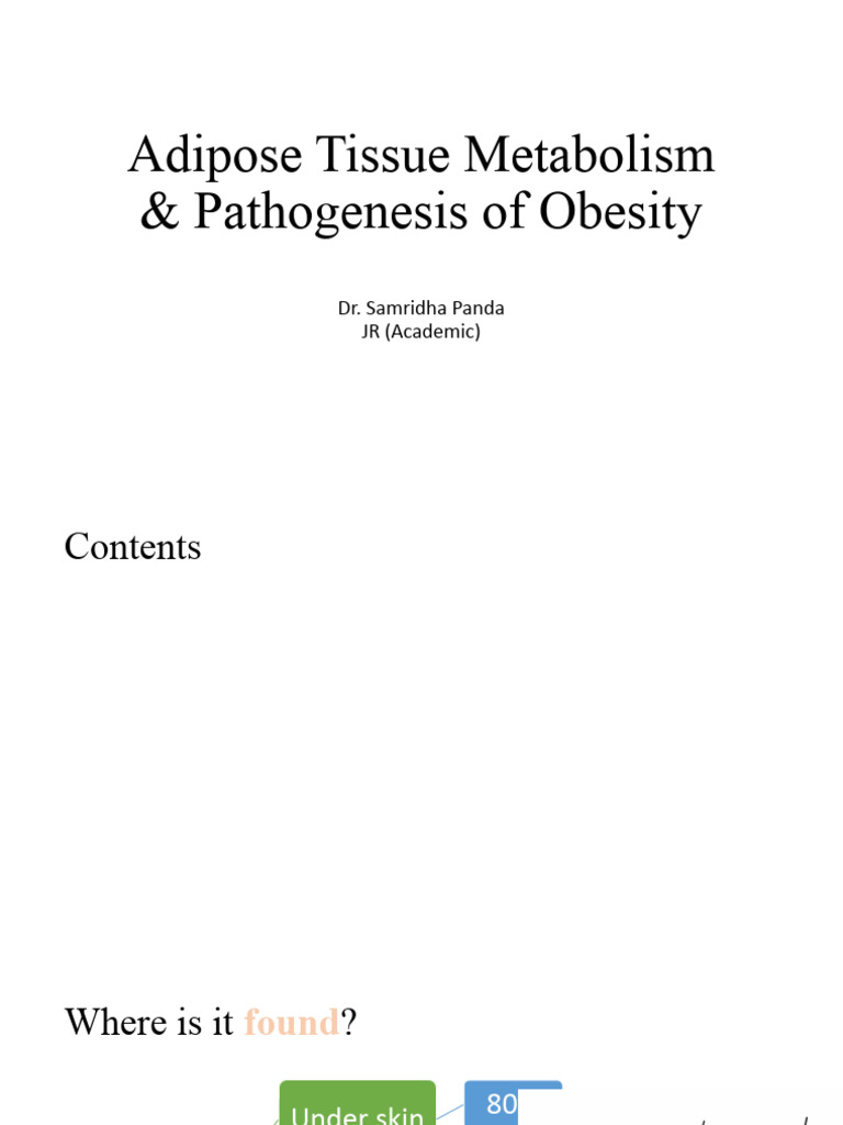 Adipose Tissue Metabolism & Pathogenesis of Obesity | Download Free PDF ...