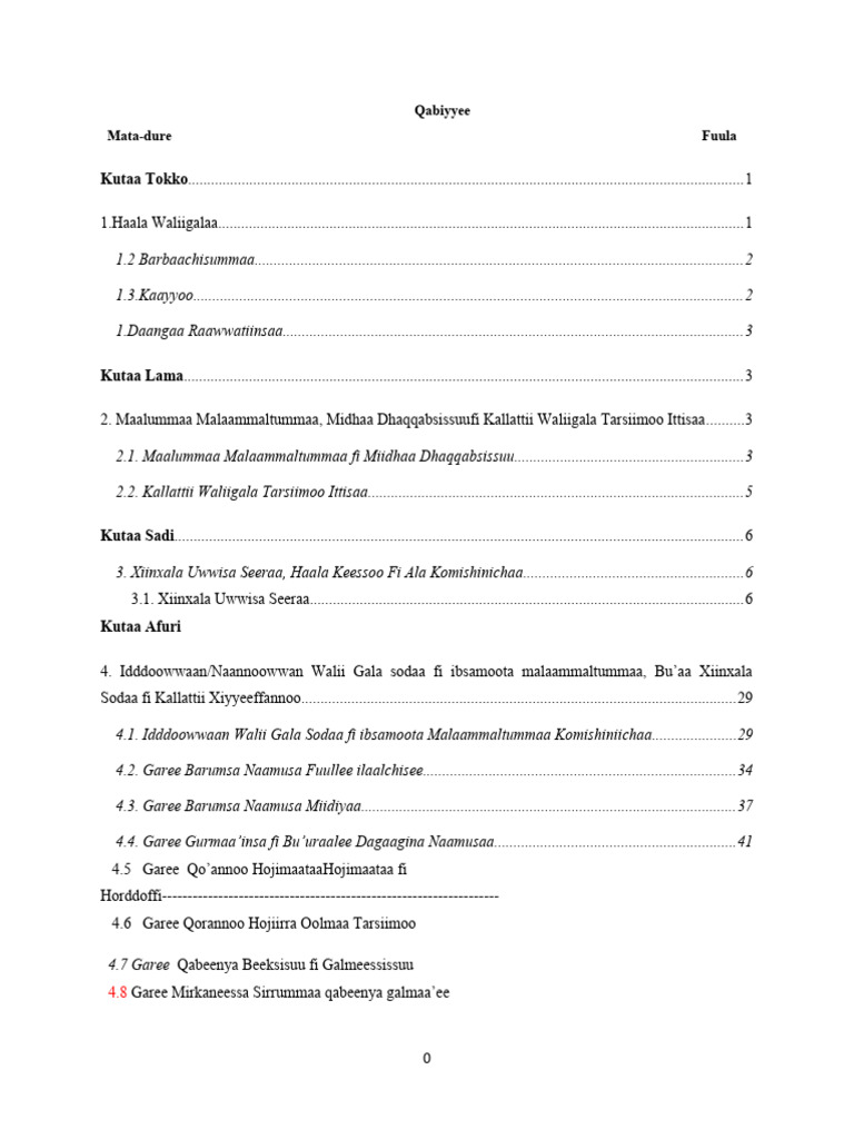 Karoora Tarsiimoo Qindaa'Aa Ittisa Yakka M KNF Sofi | PDF
