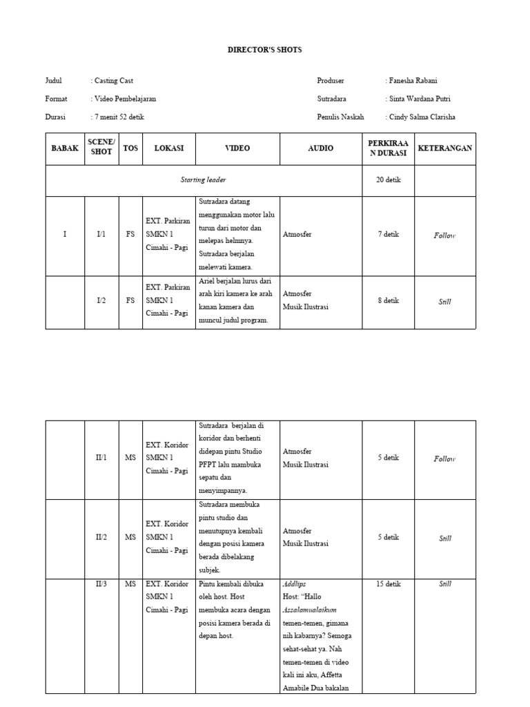 Director Shot Casting | PDF