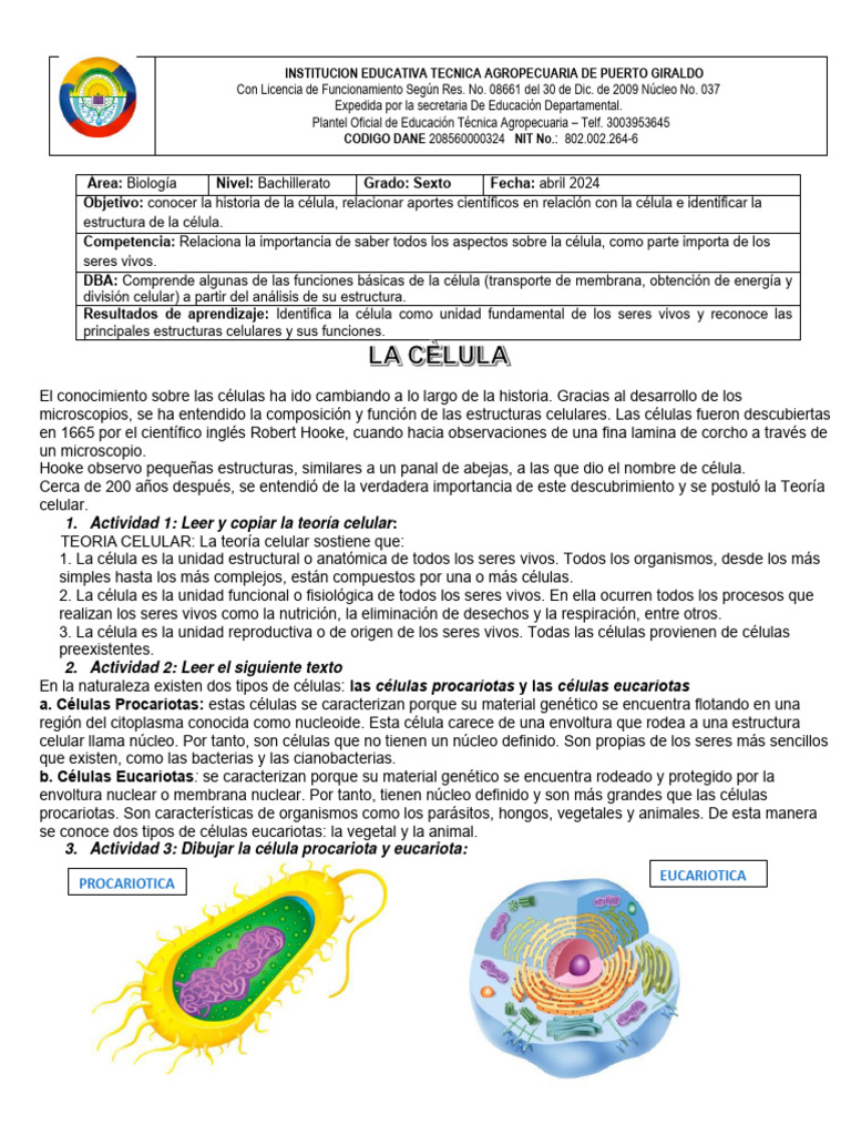Estructura y Función de la Célula | PDF | Biología Celular) | Nucleo ...