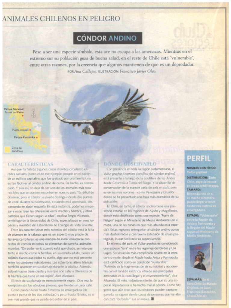 Condor | PDF