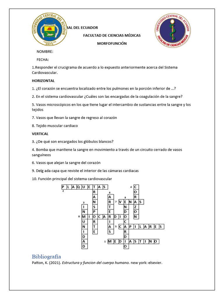 Morfo ( SOPA DE LETRAS ) cardiovasular | PDF