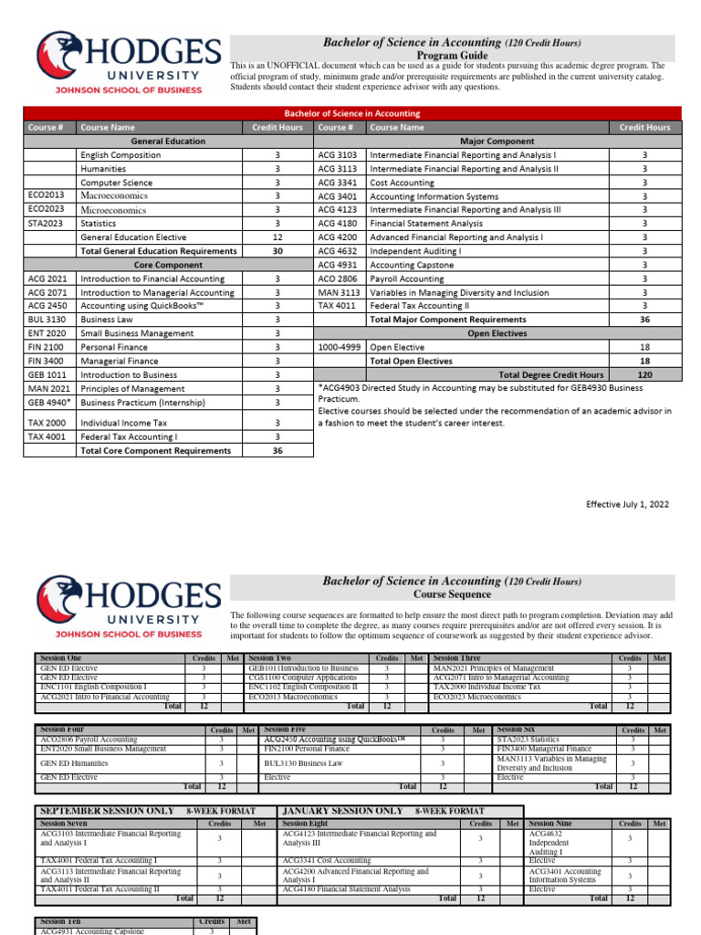 BSA - Program Guide and Sequence | PDF | Accounting | Financial Statement