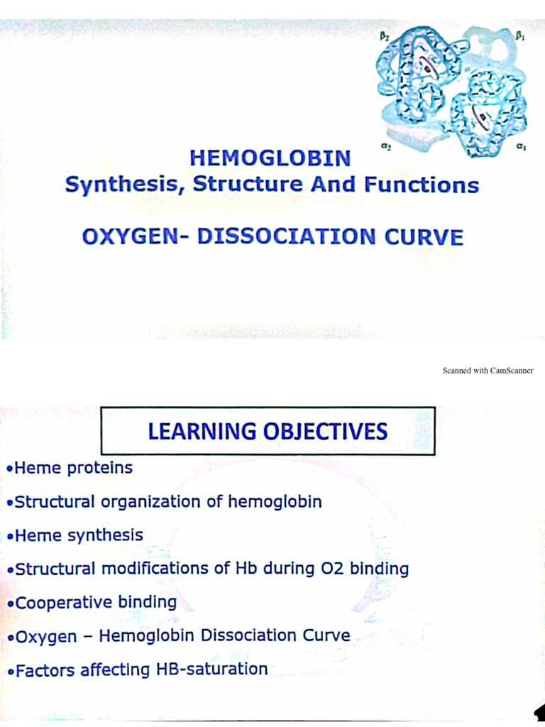 Biochem-3 - Haemoglobin Synthesis & O2 Dissociation Curve | PDF