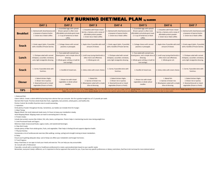 Fat Burning Meal Plan by SAMEER | PDF | Dieting | Foods