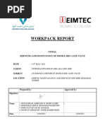 Valve Inspection Checklist | PDF | Valve | Plumbing