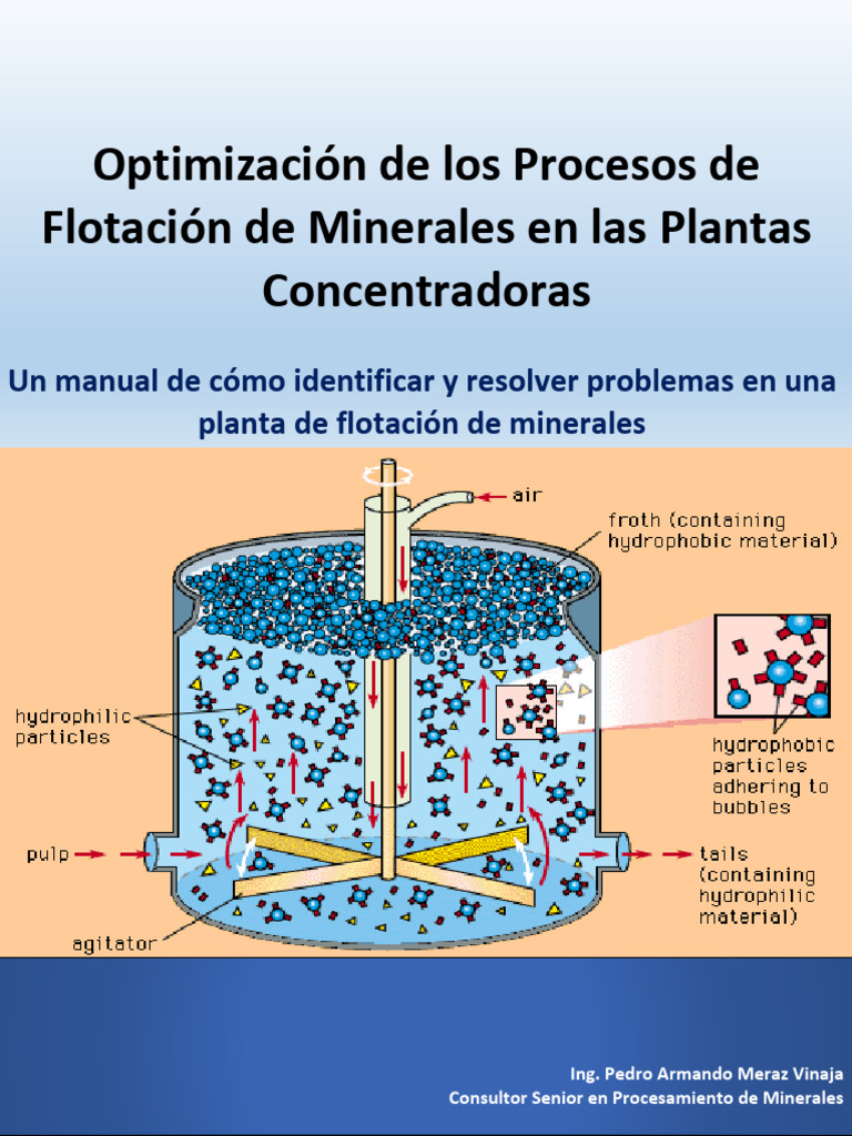 Optimización de los Procesos de Flotación de Minerales en las Plantas Concentradoras | Descargar ...