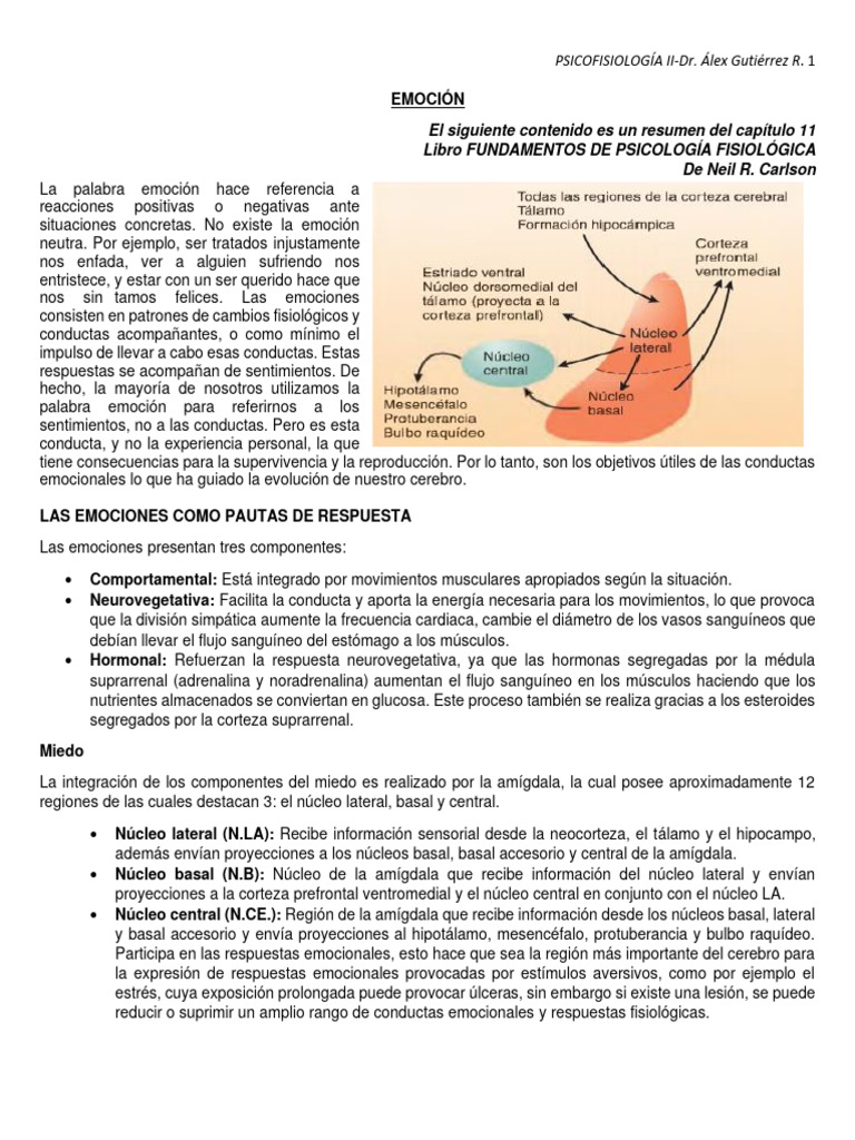 Tema 2 Emocion Pdf Las Emociones Percepción Visual