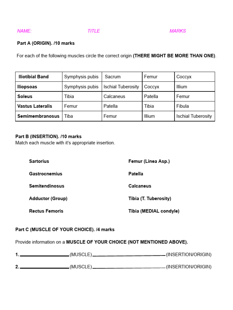 Lower Body Assignment | PDF