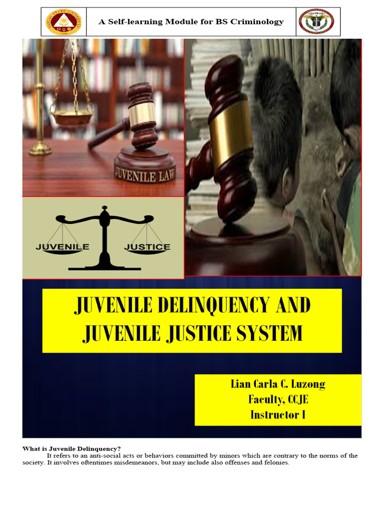 Juvenile Delinquency and Juvenile Justice System 1 | PDF | Deviance ...