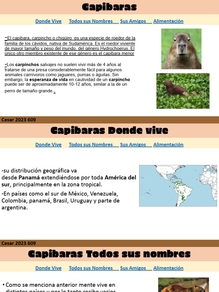 Capibaras: Hábitat, Nombres y Alimentación | PDF | Hogar, jardinería y ...
