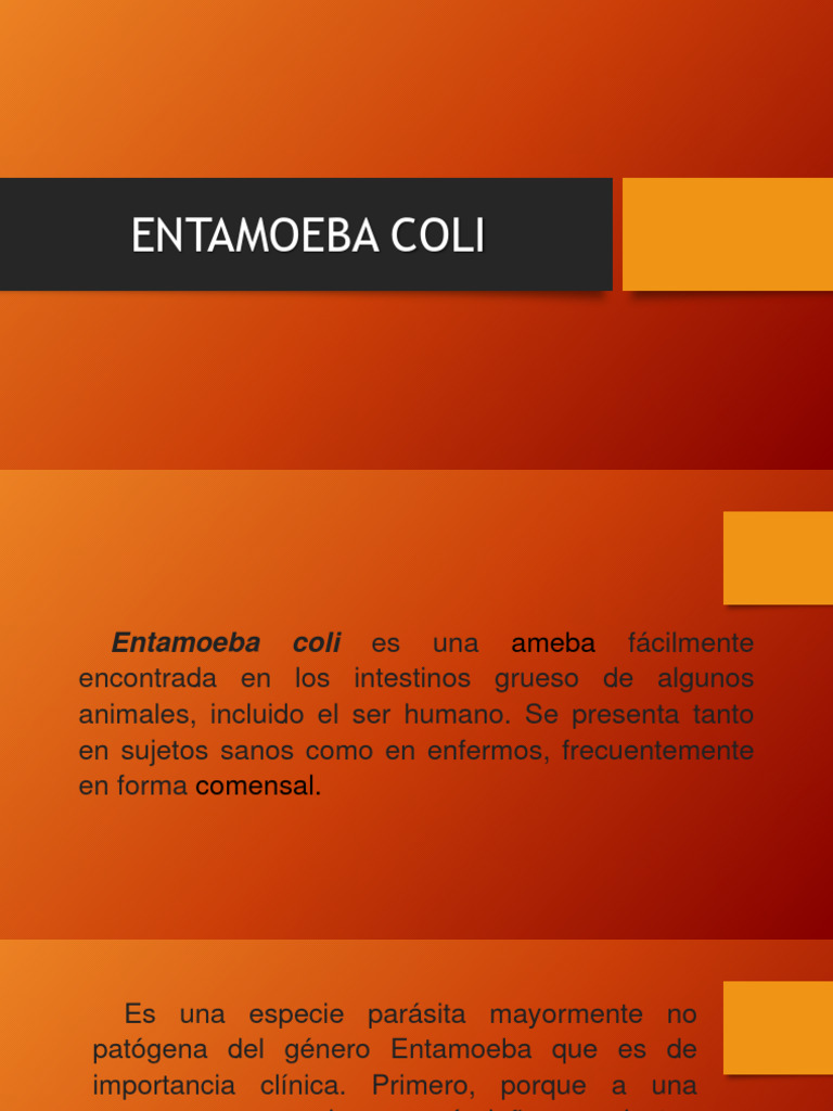 Entamoeba Coli y Entamoeba Histolytica | PDF | Especialidades Medicas ...