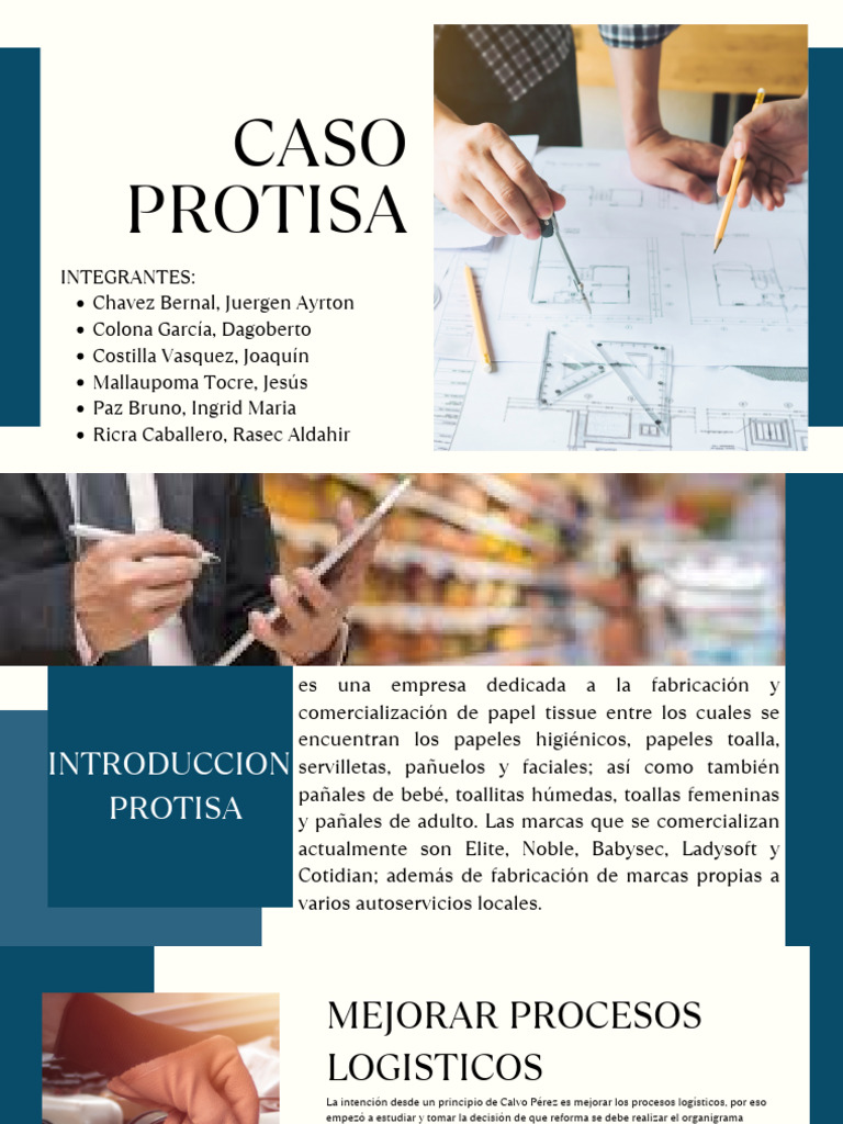 Caso Protisa | PDF | Logística | Planificación de recursos empresariales
