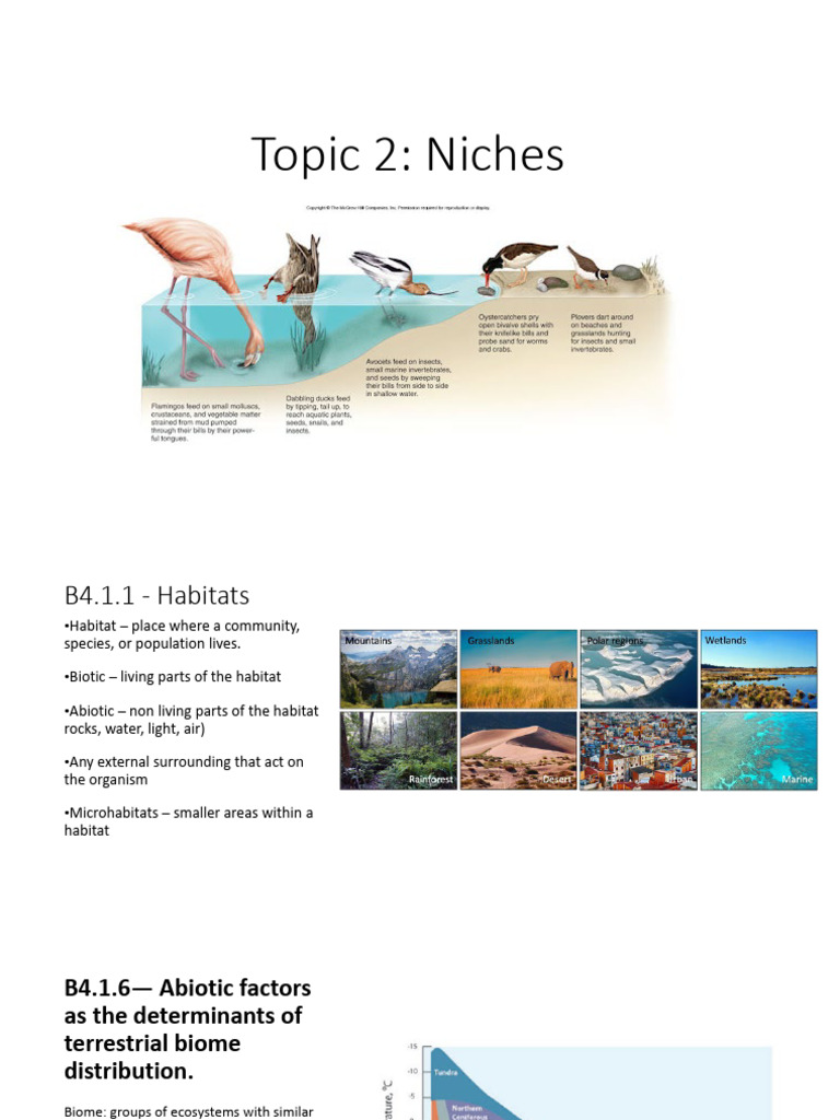 Topic 2 Notes | PDF | Ecological Niche | Ecosystem