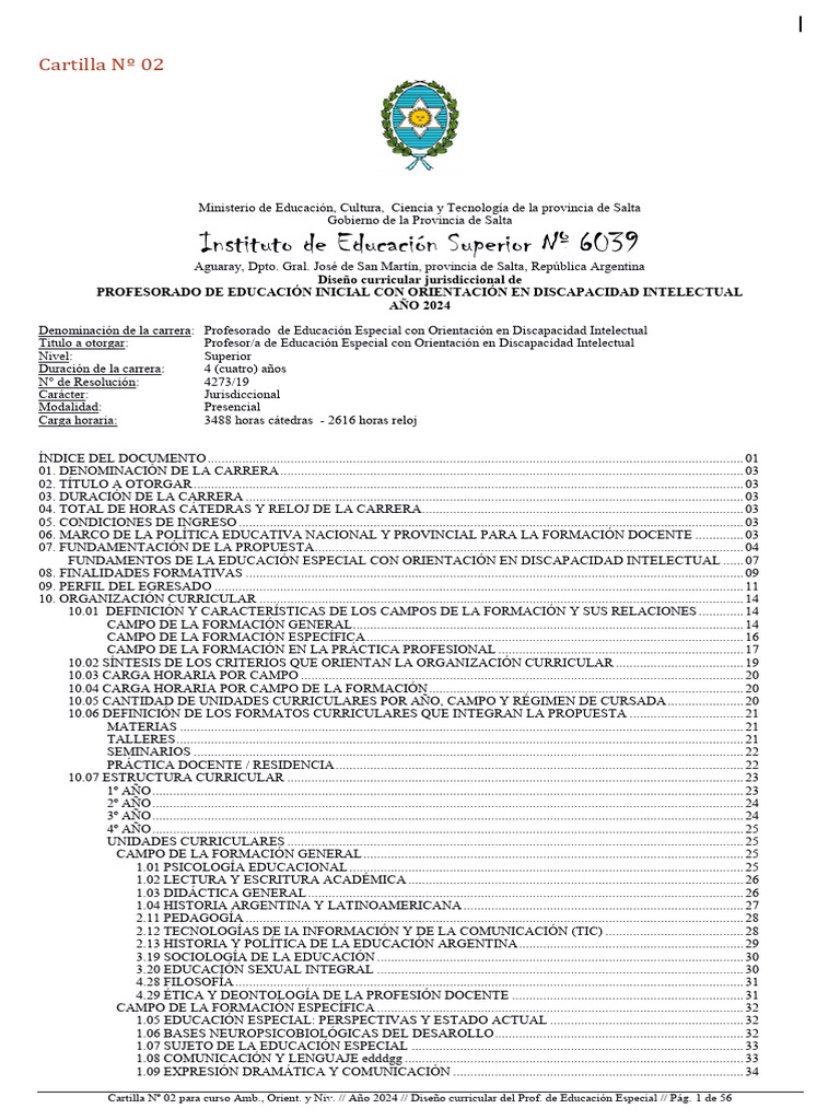 02 Cartilla 02 Prof Educ Especial Diseño Curricular 2024 | PDF | Educación especial | Maestros
