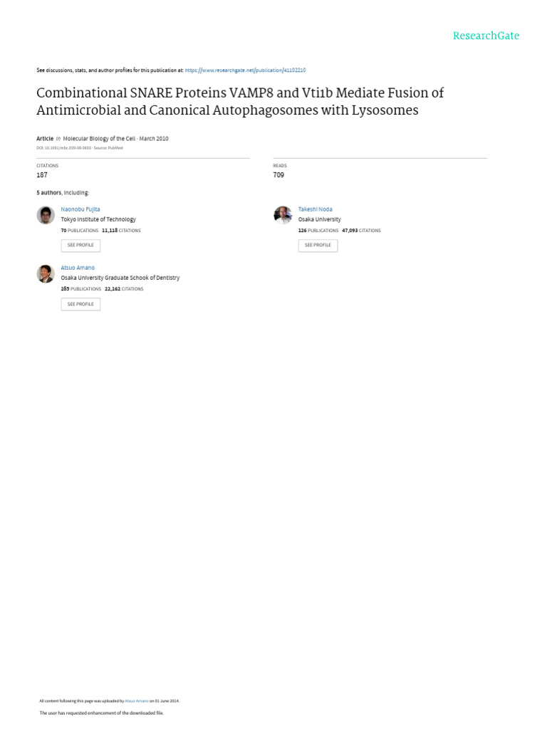 Combinational SNARE Proteins VAMP8 and Vti1b Media | PDF | Autophagy ...