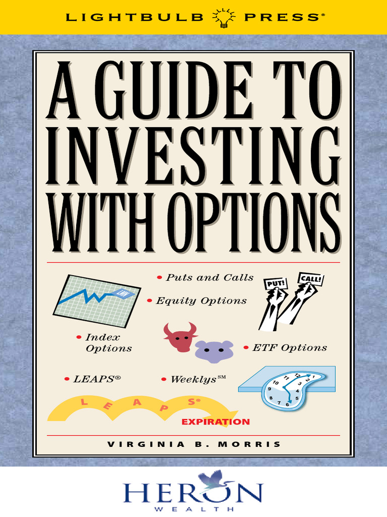 A Guide To Investing With Options - Lightbulb Press - Graphic Novel - InvestingOptions - HW ...