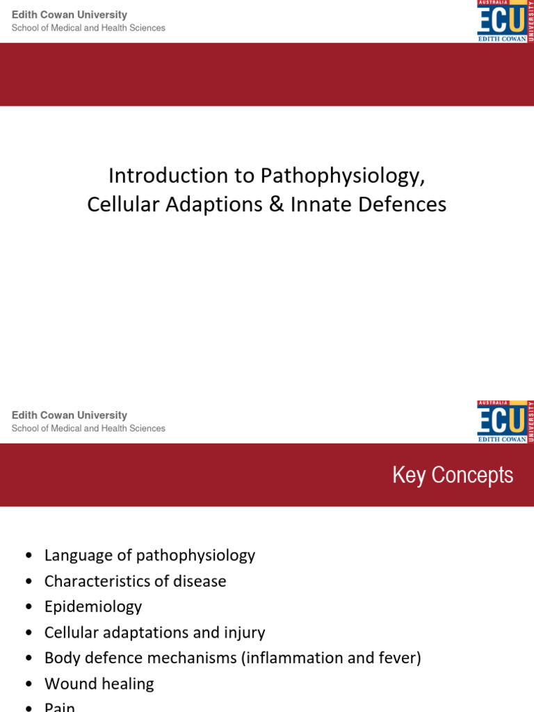 Introduction To Pathophysiology | PDF | Necrosis | Pain