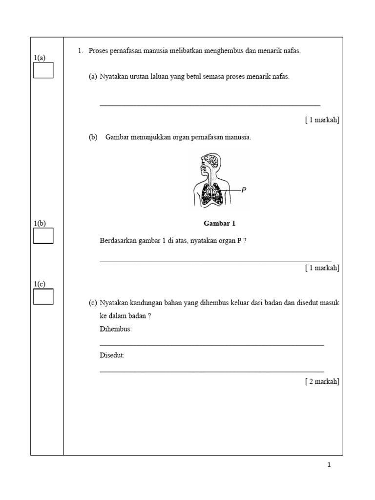 Teknik Menjawab Sains Tahun 4 K2 Pdf