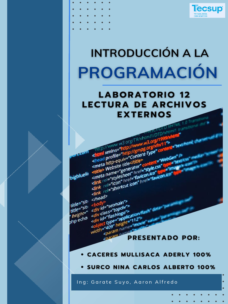 LABORATORIO N°12 Lectura de Archivos | PDF | Archivo de computadora | Python (lenguaje de ...