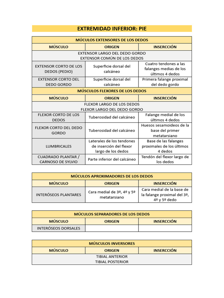 Extremidad Inferior: Pie | PDF | Dedo del pie | Tejido suave