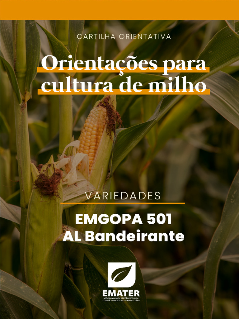 Orientações para Milho EMGOPA 501 | PDF | Milho | Agricultura