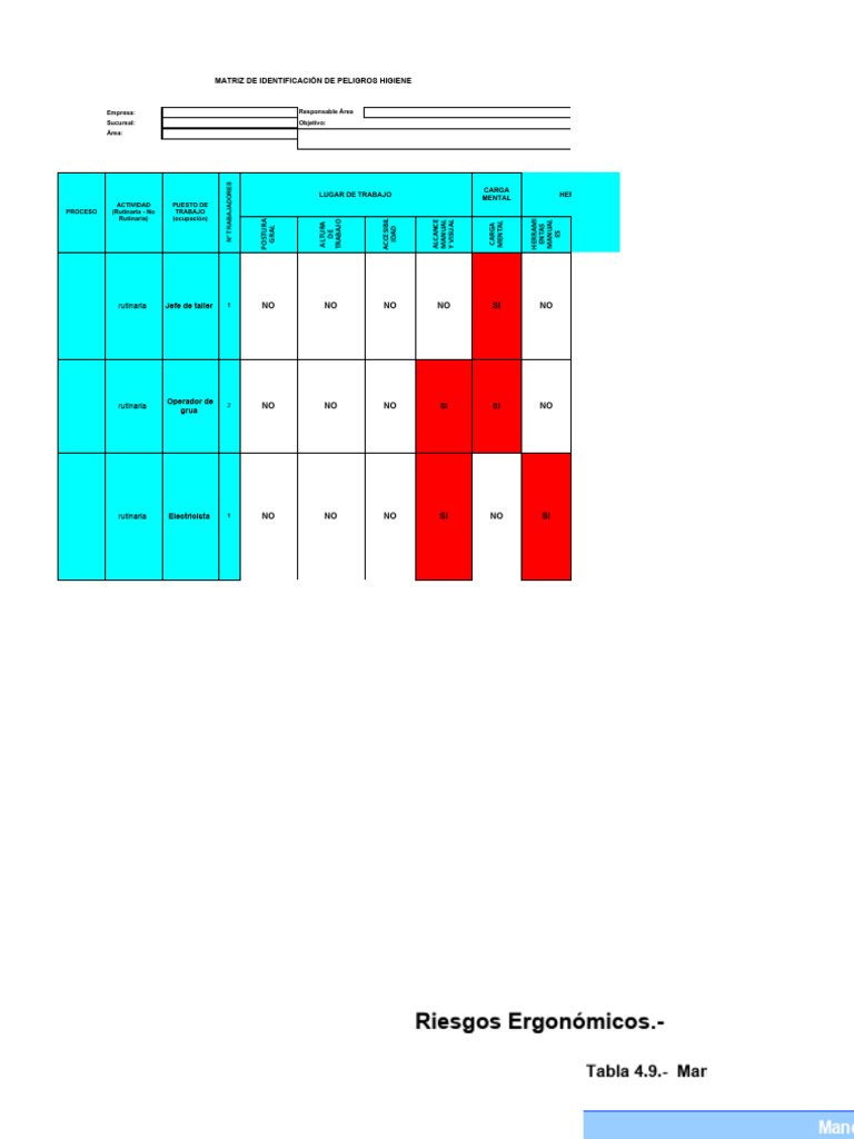 Matriz Riesgos Ergonomicos Zamorano | PDF | Higiene Ocupacional | Seguridad y salud ocupacional