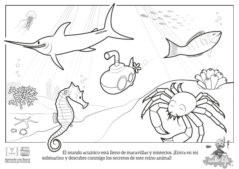 Barcy Fauna Marina Marcador | PDF