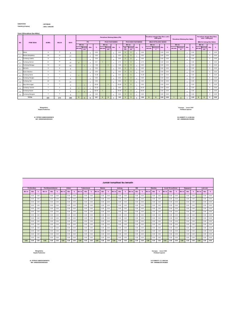 Format Persalinan Dan Nifas 2024 | PDF