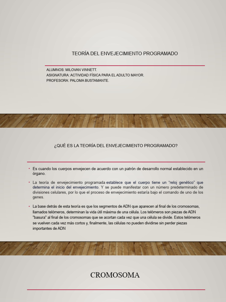 Teoría Del Envejecimiento Programado Disertacion Viernes | PDF | Envejecimiento | Telómero