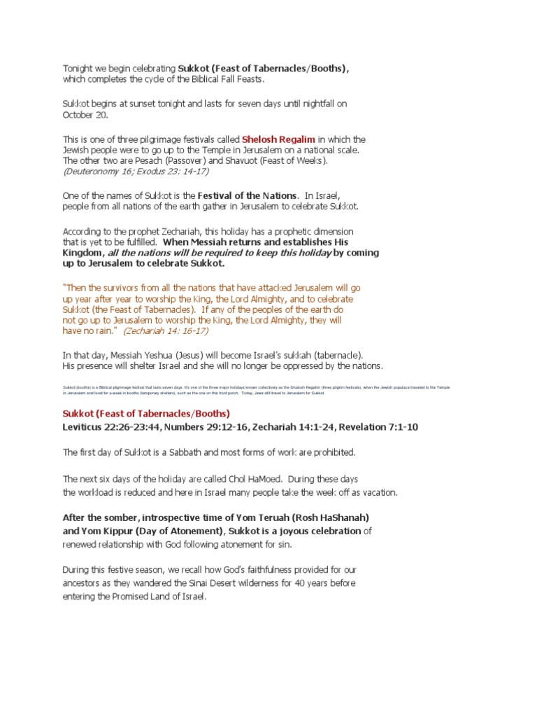 Four Species Visualization | PDF | Sukkot | Jewish Belief And Doctrine