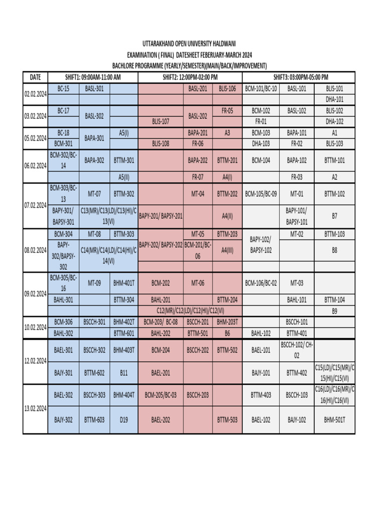 Final Bachelor 24 | PDF