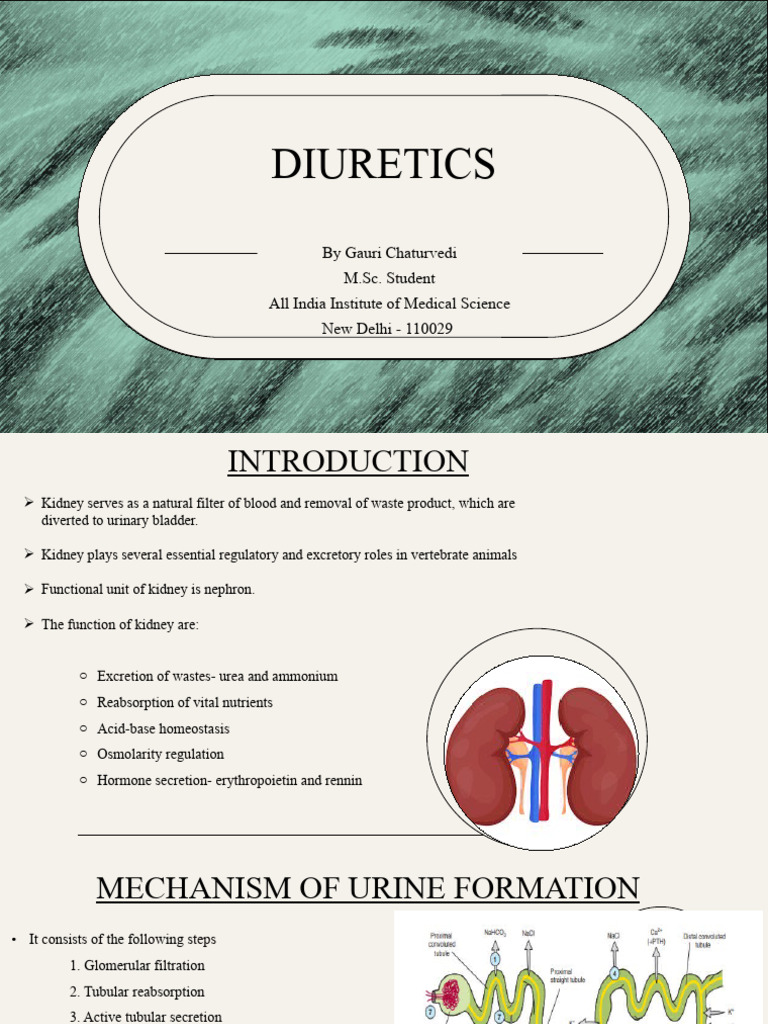 Diuretics | PDF | Kidney