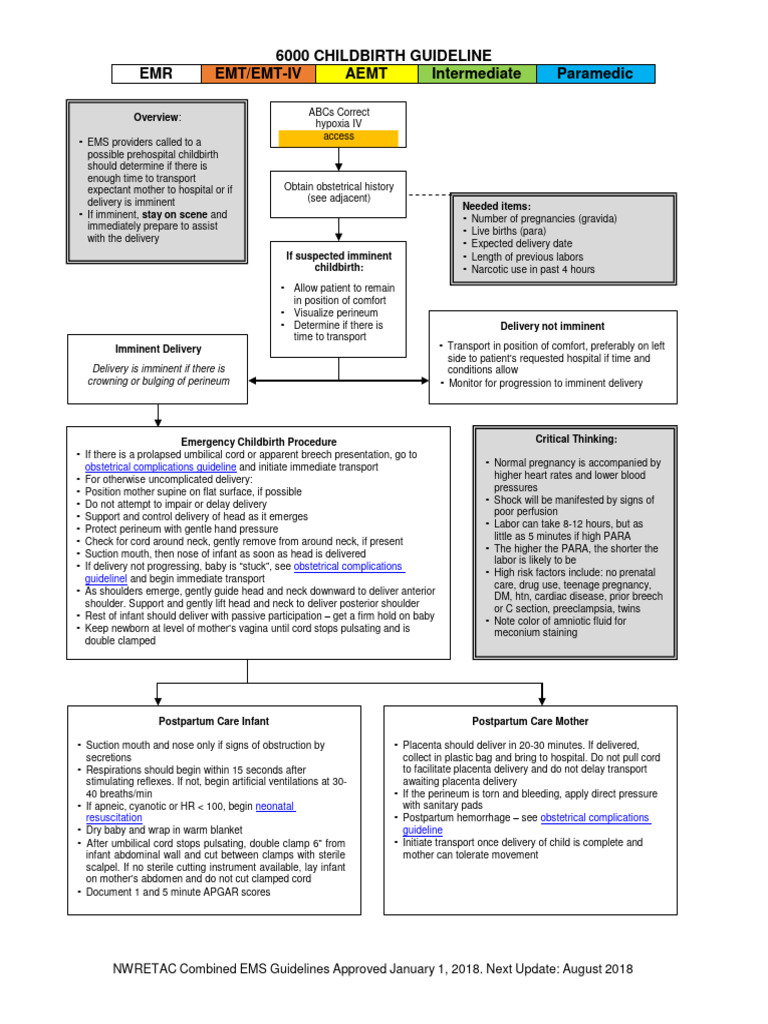 6000 Childbirth Protocol | PDF | Childbirth | Emergency Medical Technician