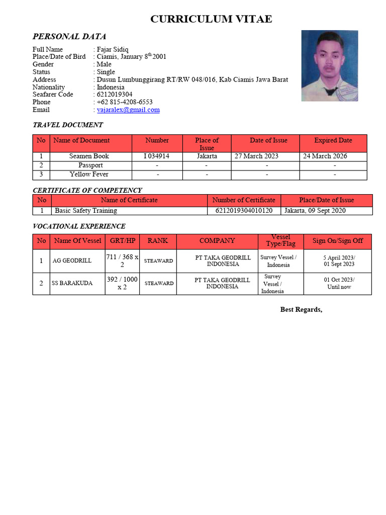 CV Steward Fajar Sidiq | PDF