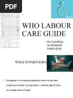 WHO Labour Care Guide | PDF | Childbirth | Human Pregnancy