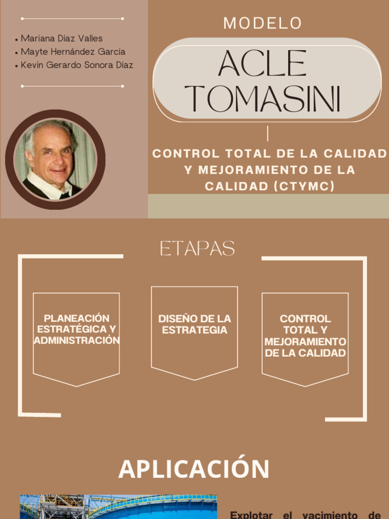 Modelo Acle Tomasini | PDF | Planificación | Business