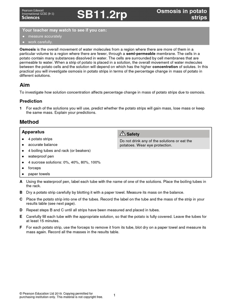 Osmosis In Potato Strips Pdf Osmosis Chemistry
