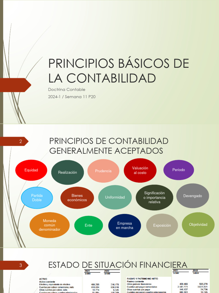 Doctrina Contable 2024-I S11 P20 | PDF