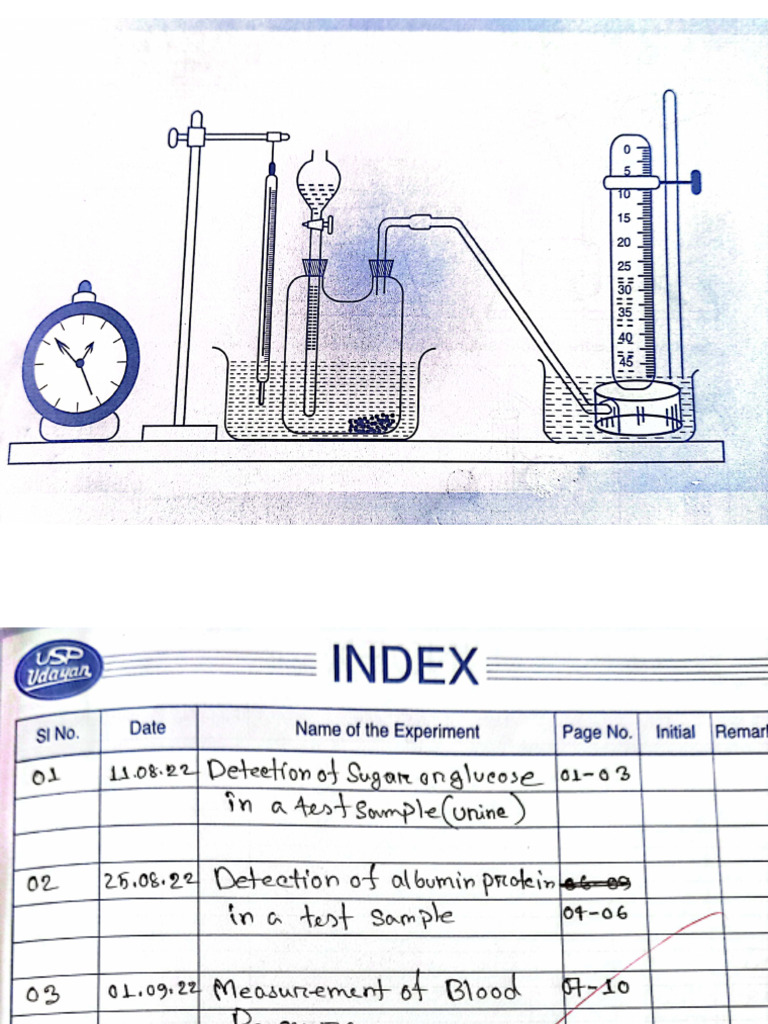 Albumin Blood Pressure Pdf