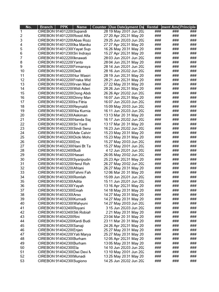Daily Payment Report Summary | PDF