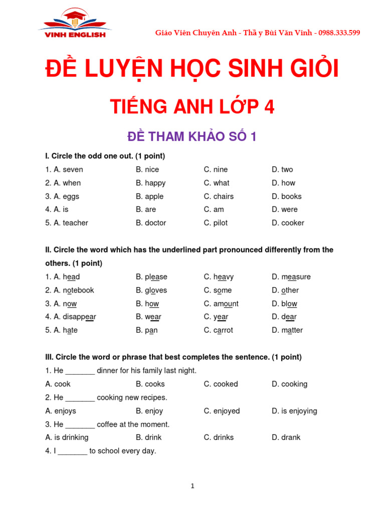 Bo de HSG 4 - Thay Bui Van Vinh | PDF