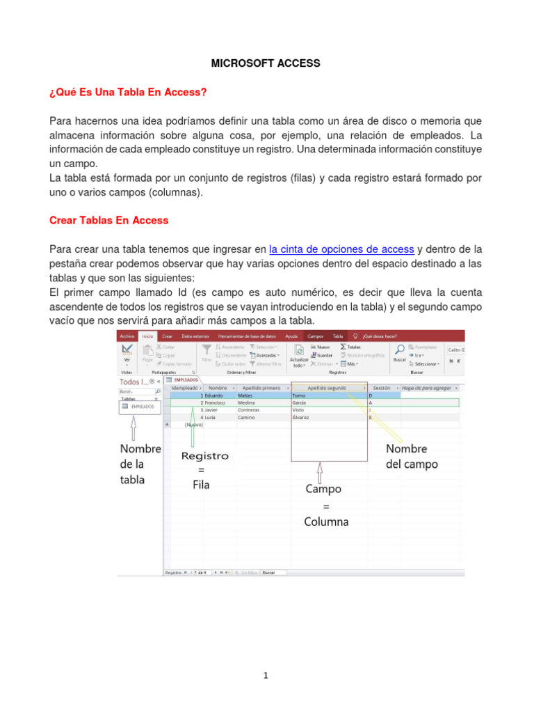 Microsoft Access 2 | Descargar gratis PDF | Tipo de datos | Información