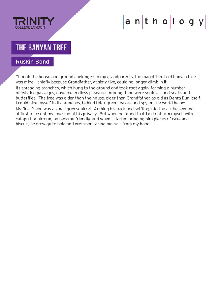 FouSto Banyan Tree | PDF